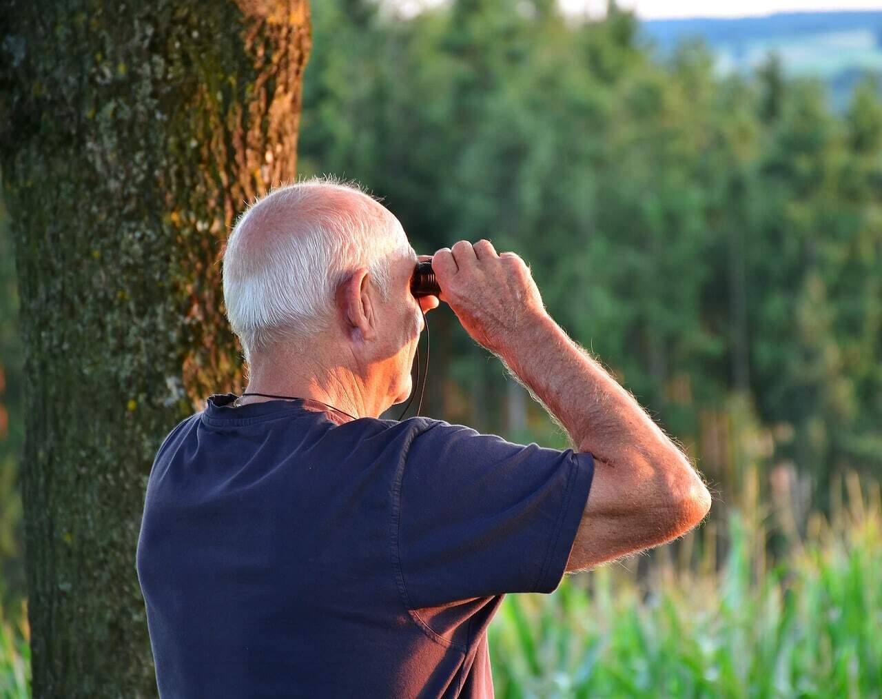 Anticiper sa retraite : Le guide complet